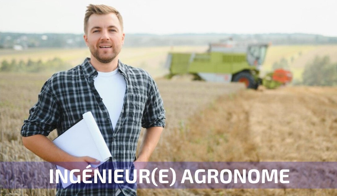 Ingnieur Agronome Expert En Organisation Et Les Parcours De Formation
